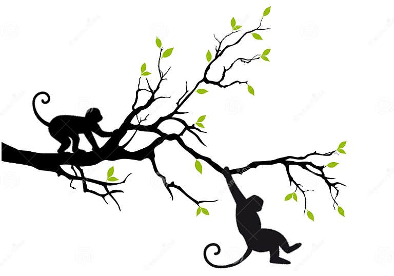 Monkeys on tree, vector stock vector. Illustration of tree - 26409471