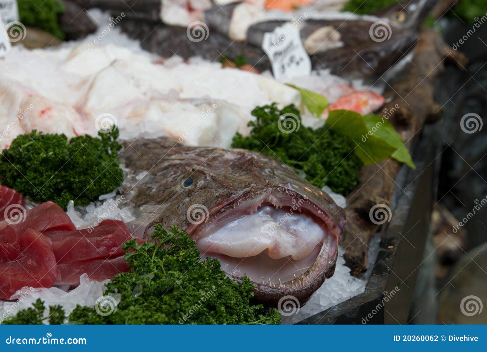 Monkfish at fishmarket stock photo. Image of meat, fish - 20260062