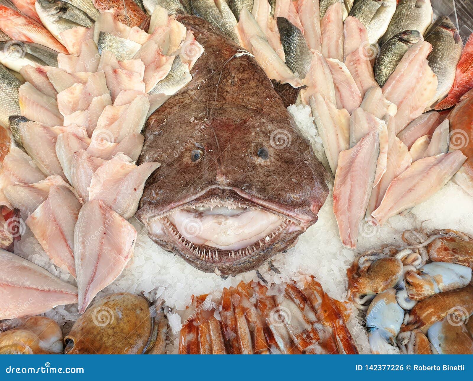 Monkfish and fresh fish stock photo. Image of freshness - 142377226