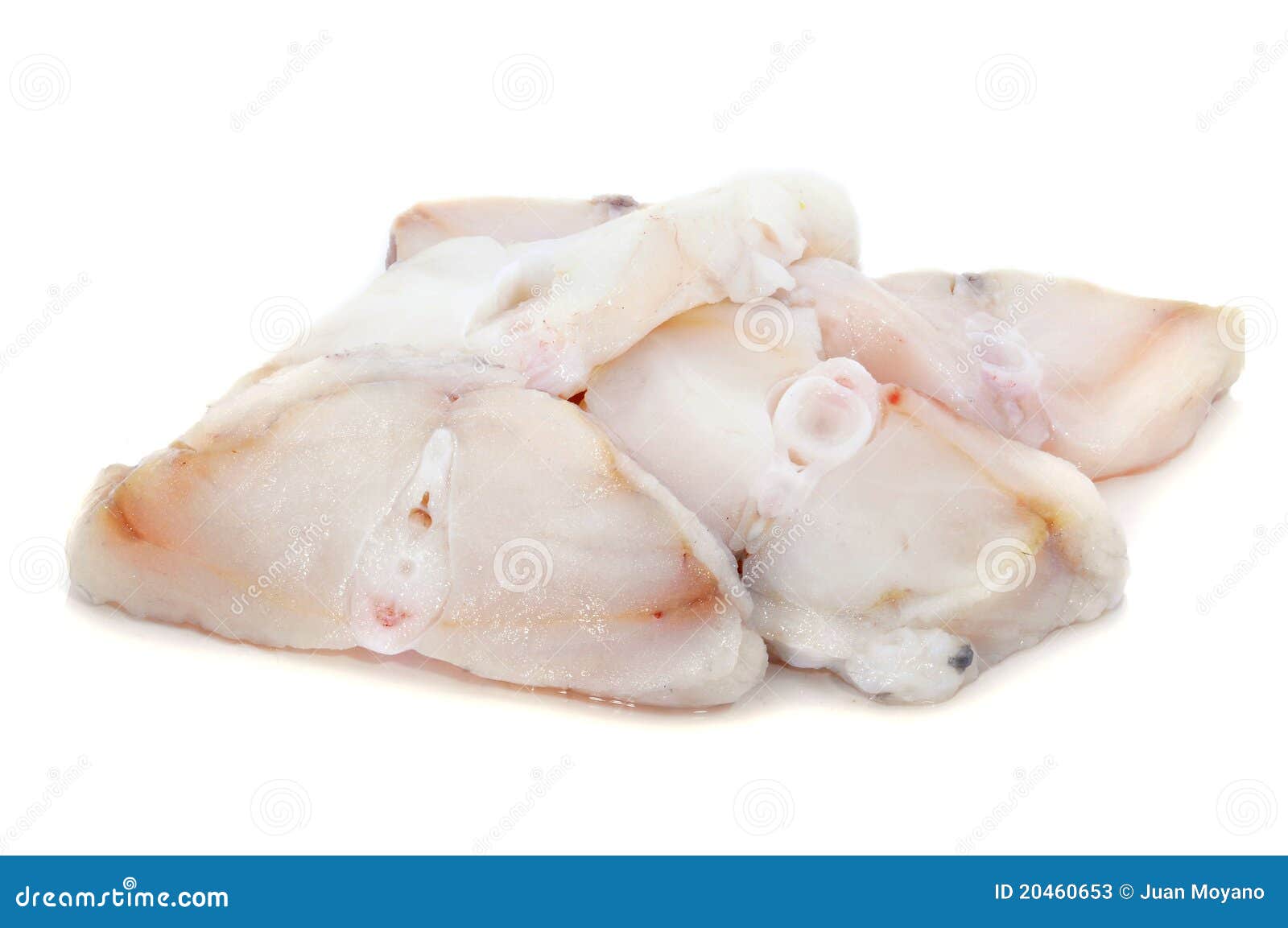 Raw Monkfish Royalty-Free Stock Photo | CartoonDealer.com #23705811