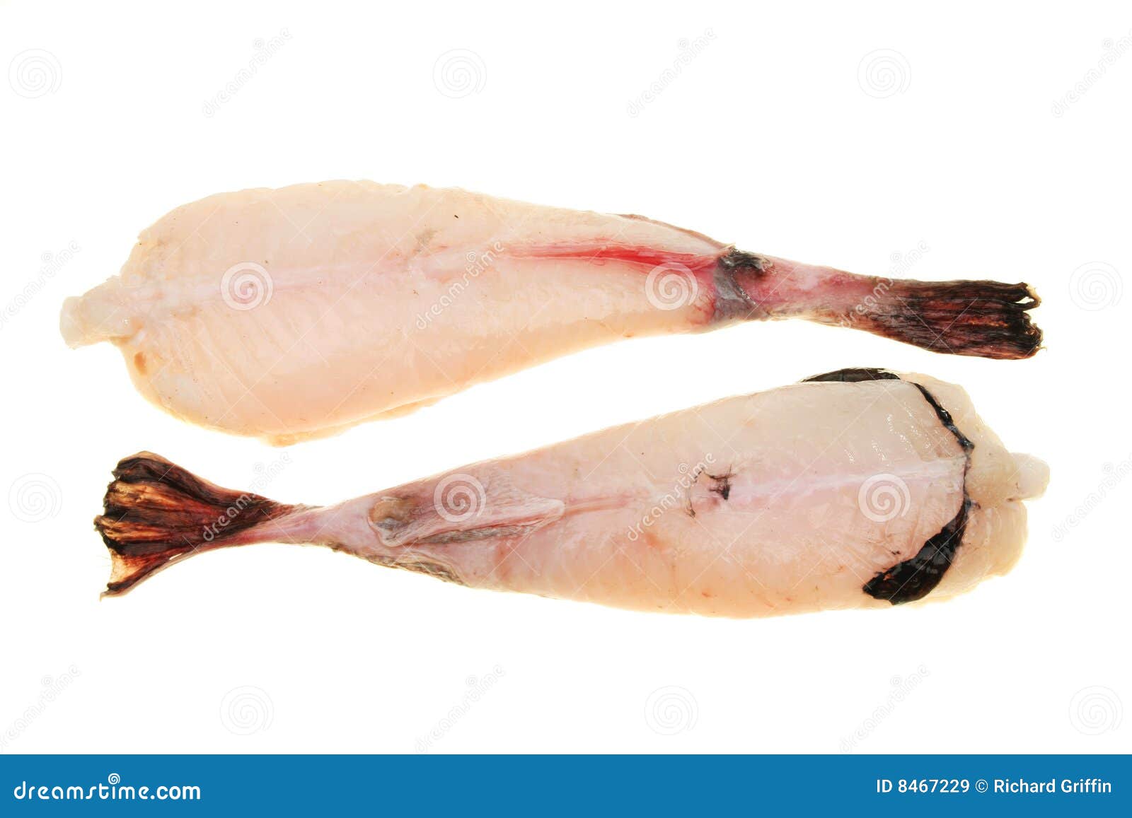 Monkfish Tail