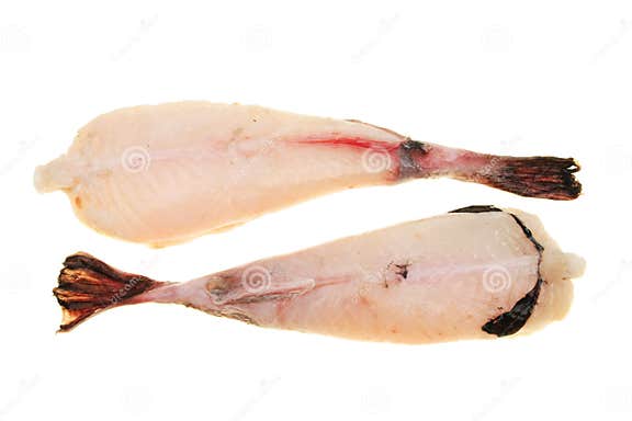 Monkfish tails stock image. Image of tail, flesh, skin - 8467229