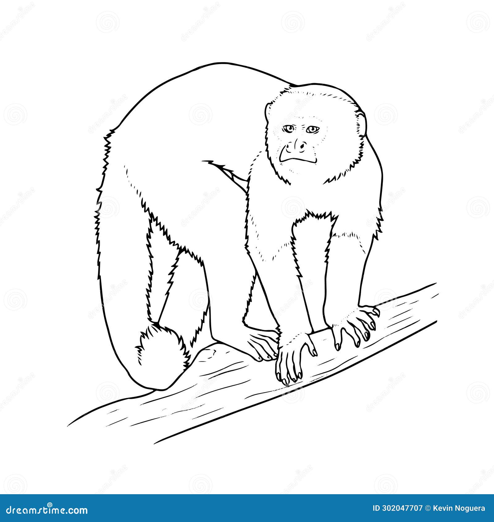 Line Drawing of a Monkey in Black and White for Coloring Vector Stock ...