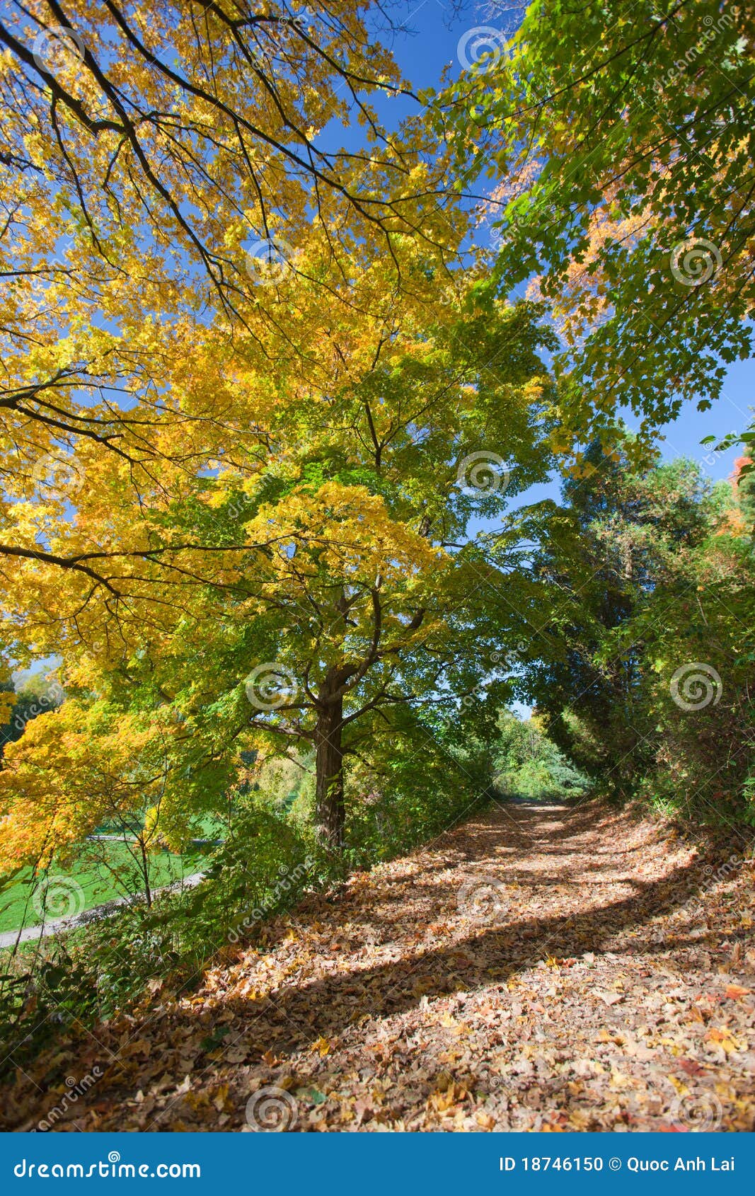 Mono Cliffs Provincial Park Stock Photo - Image of park, forest: 18746150