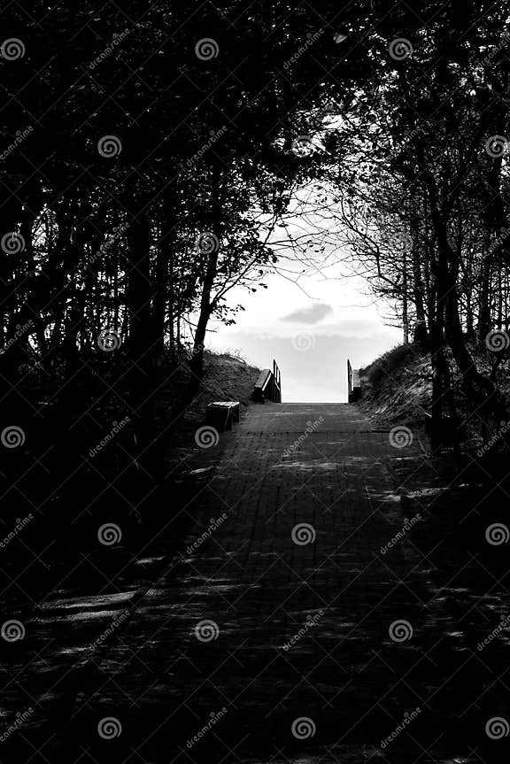 Mono exit. stock image. Image of white, forest, trip - 77741599