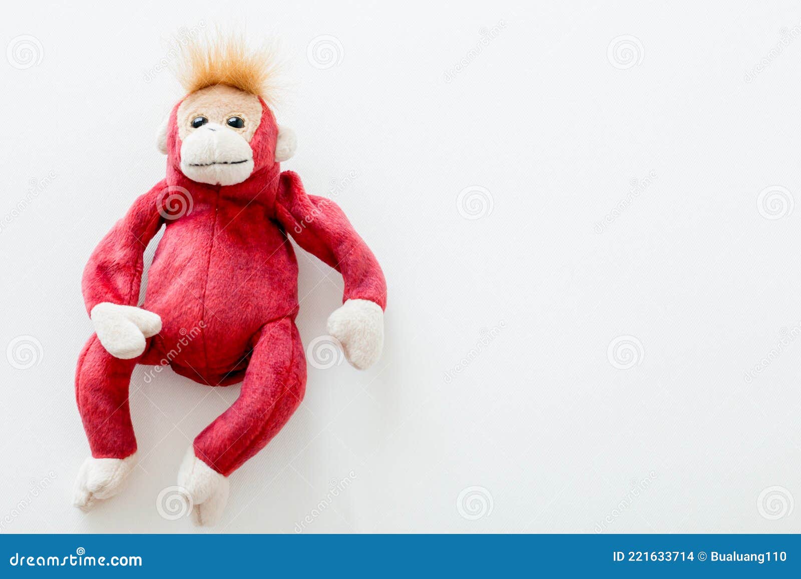 Mono Feliz Con Fondo Blanco. Foto de archivo - Imagen de felicidad ...
