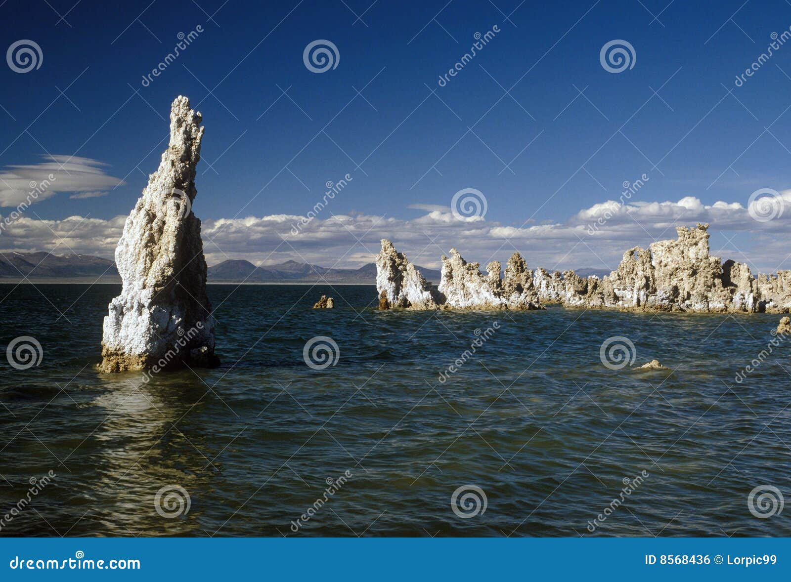 Mono lago fotografia stock. Immagine di vita, lago, california - 8568436