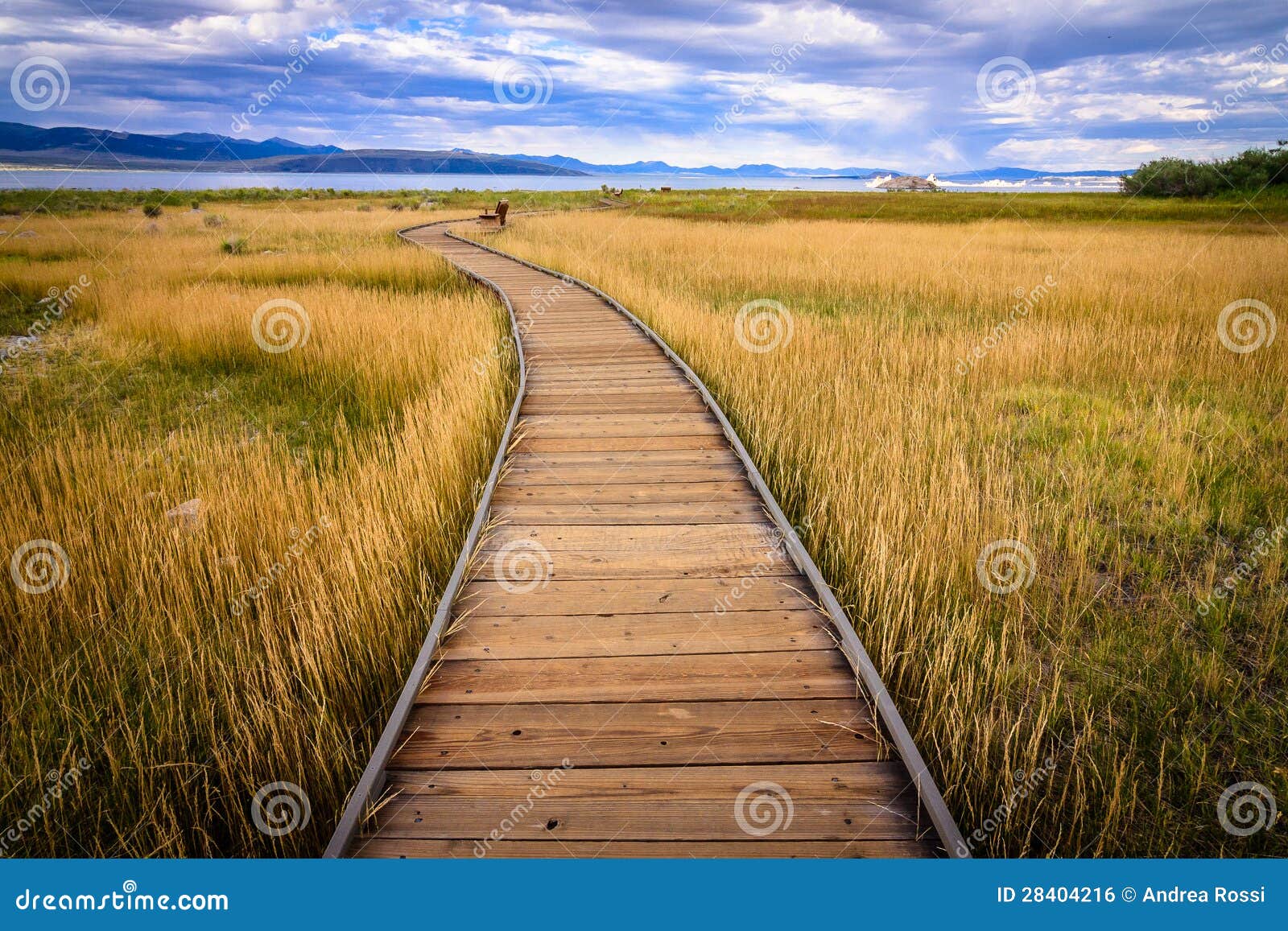 Mono Lake Catwalk stock photo. Image of park, catwalk - 28404216