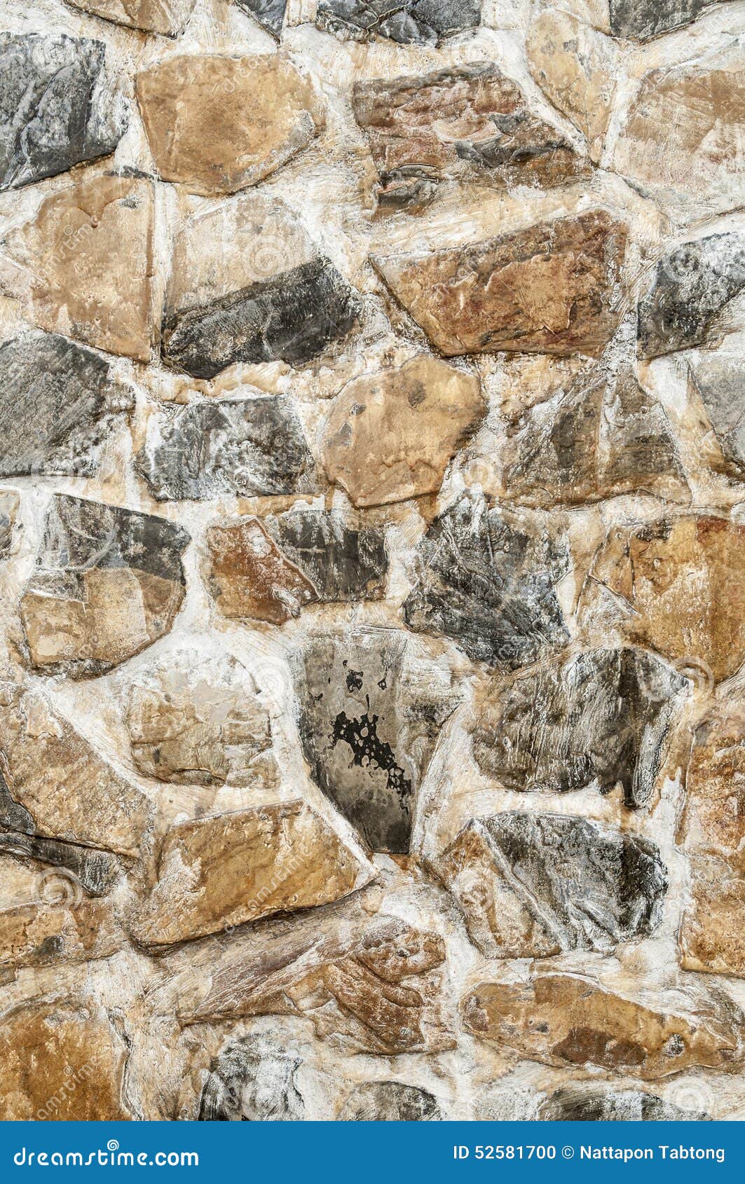 Mono Que Rabia Y Feroz En árbol Foto de archivo - Imagen de rhesus ...