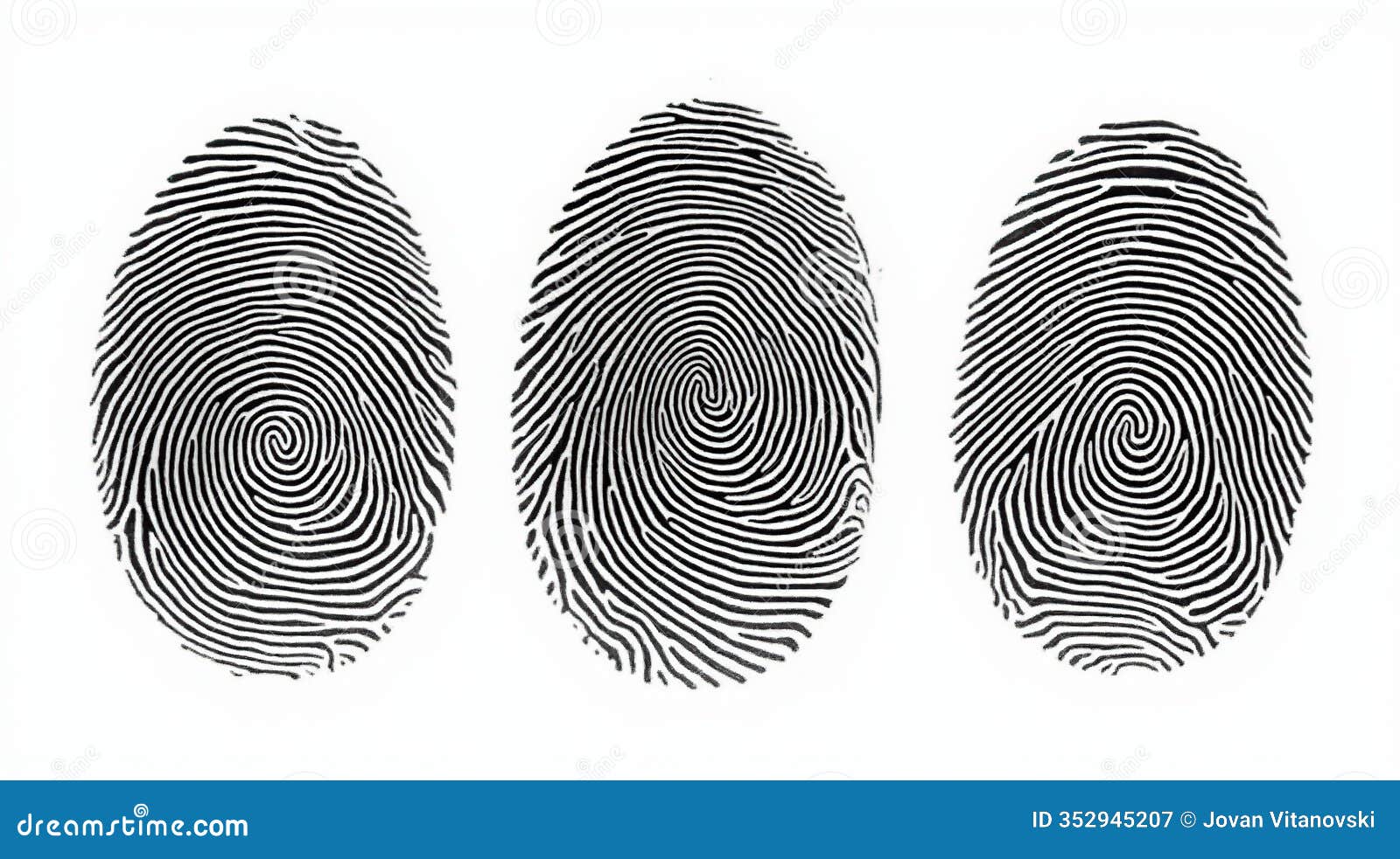 Forensic Impressions: Macro Photography Of A Whorl Pattern Fingerprint ...