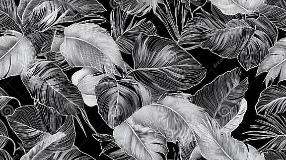 Monochromatic Leaf Pattern with Intricate Line Details on Black ...