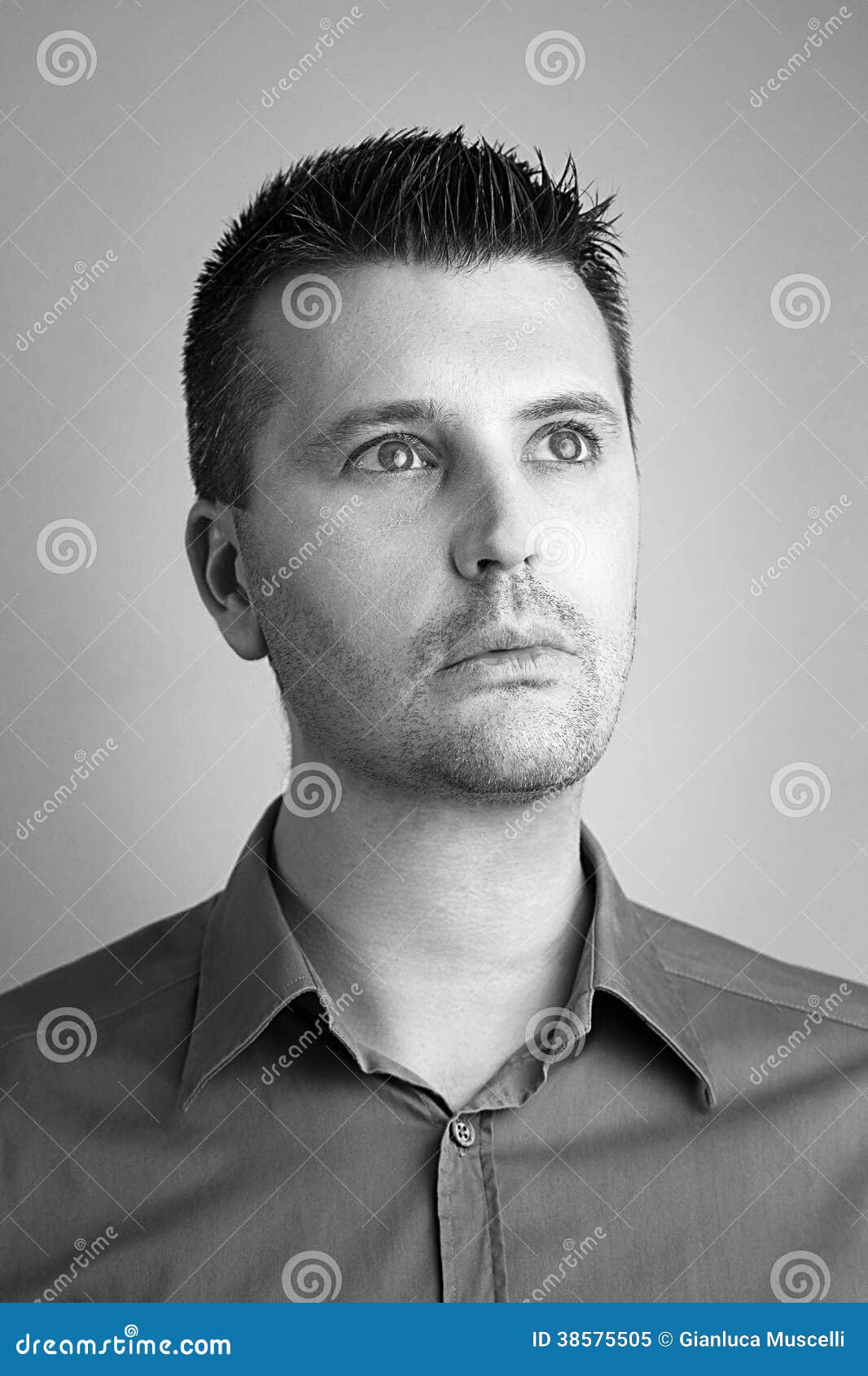 Monochromatic Portrait of Attractive Young Man Stock Image - Image of ...
