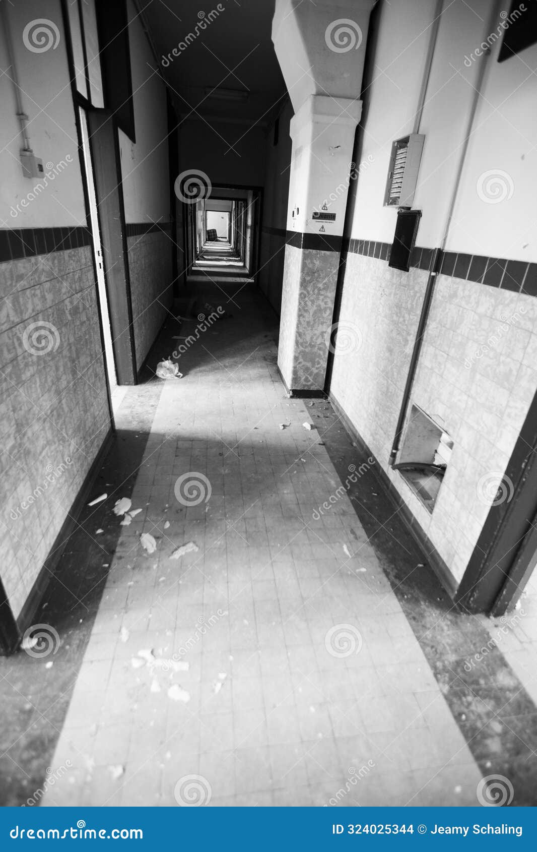Monochrome Abandoned Hallway with Endless Door Frames Stock Photo ...