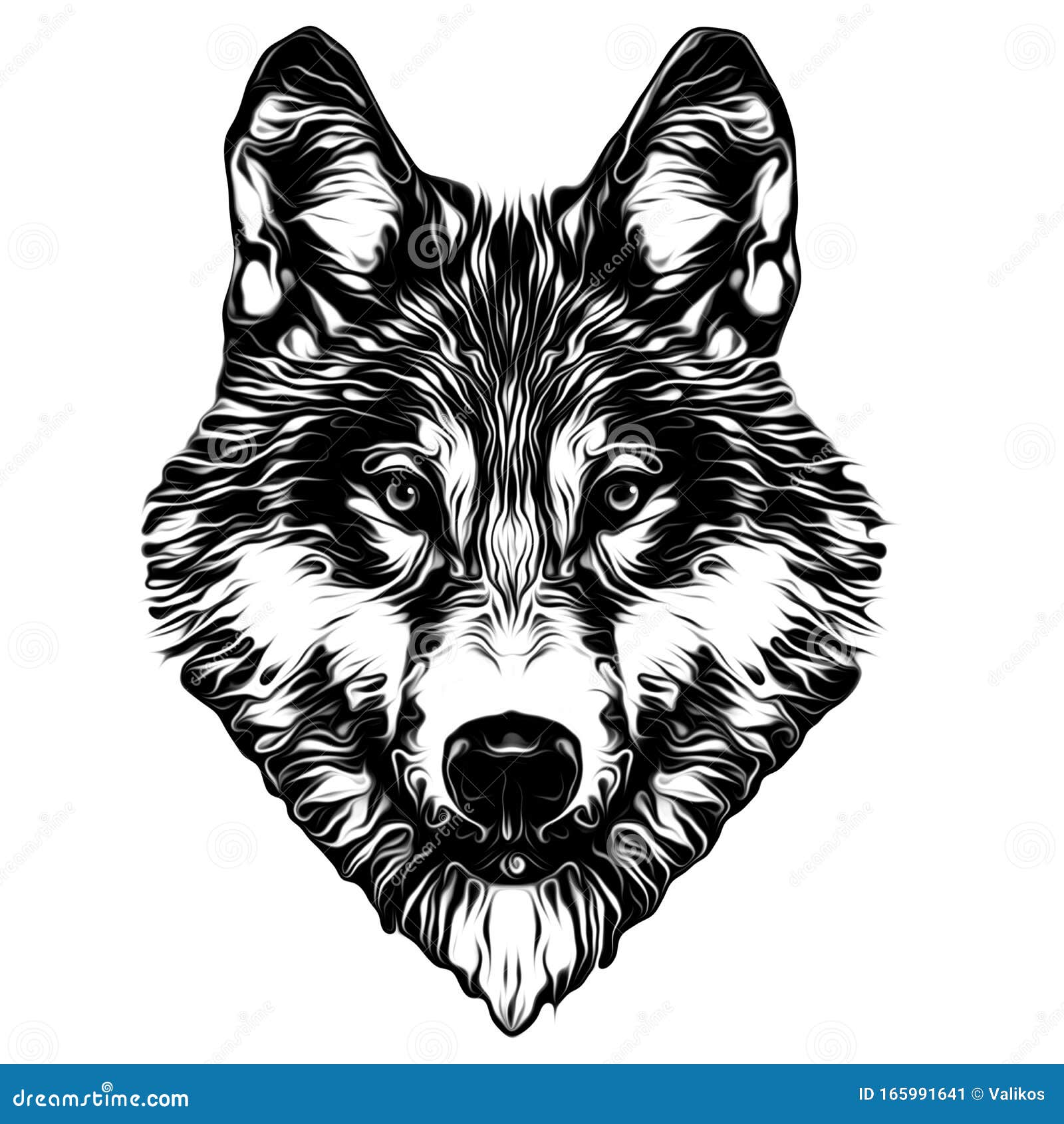 Monochrome Artistic Wolf Muzzle on Background Stock Illustration ...