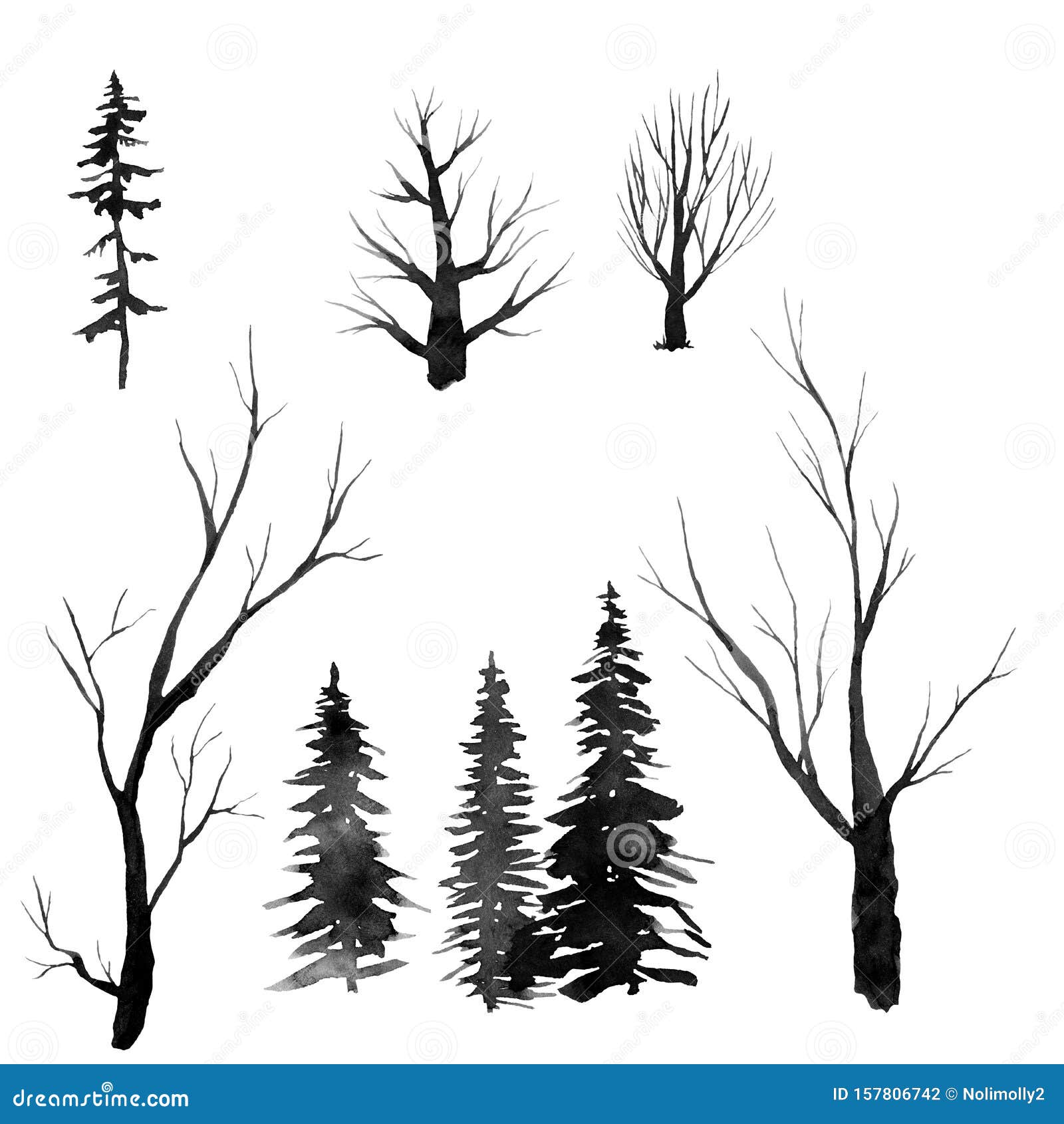 Monochrome Black Forest, Trees and Branches, Watercolor Stock ...