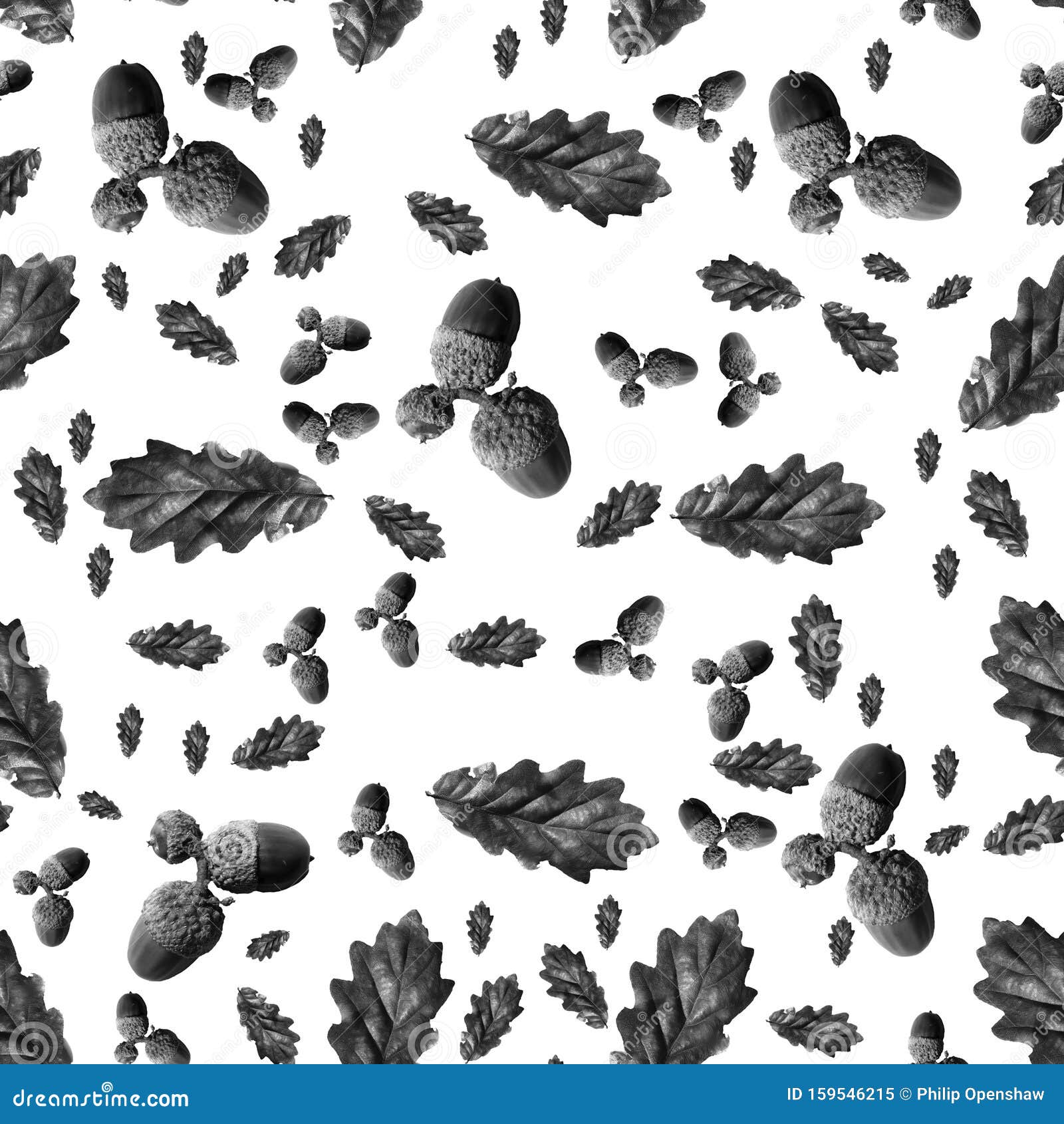 Monochrome Black and White Oak Leaf and Acorns Repeating Pattern Design ...