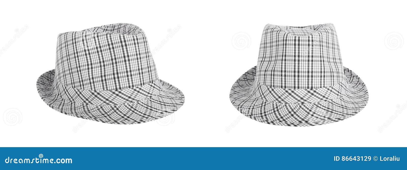 Monochrome Checked Hat for the Summer on an Isolated Background Stock ...