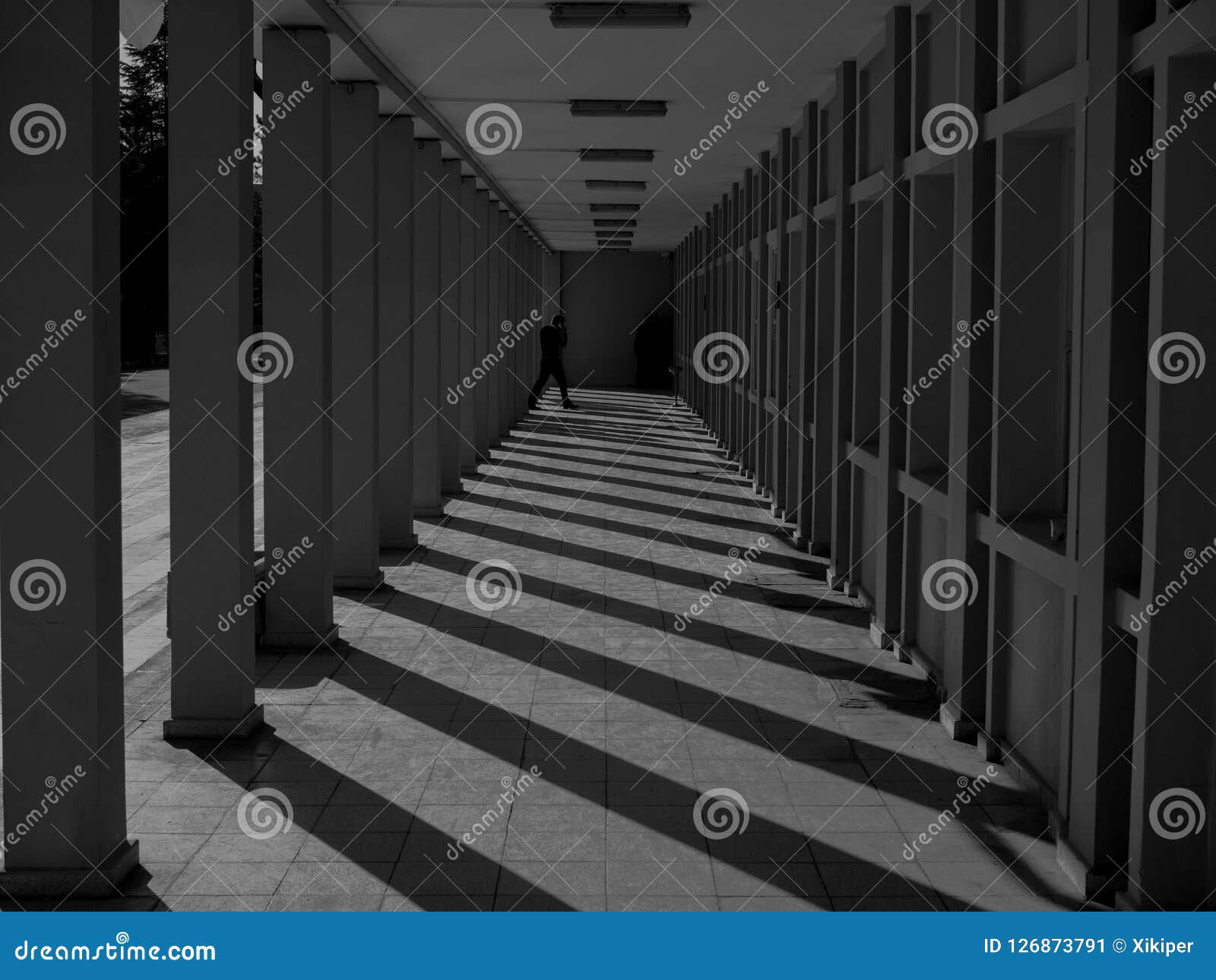 Monochrome Corridor and Columns Perspective View Editorial Photo ...