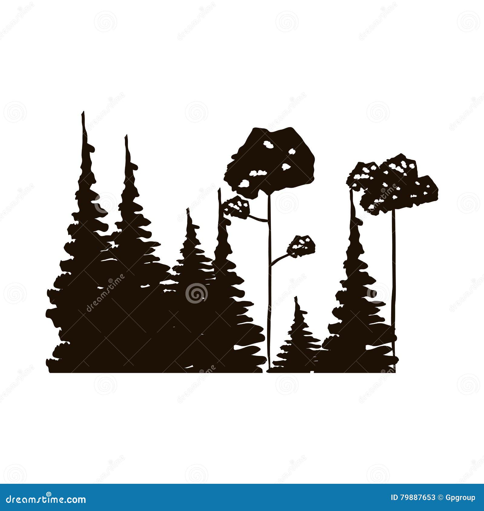 Monochrome Forest with Pines and Leafy Trees Stock Vector ...