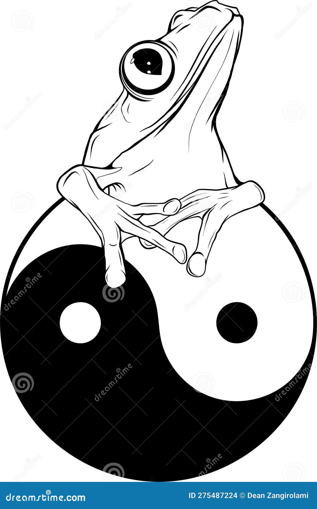 Monochrome Frog Sits Symmetrical Sketch Vector Graphics Black and White ...