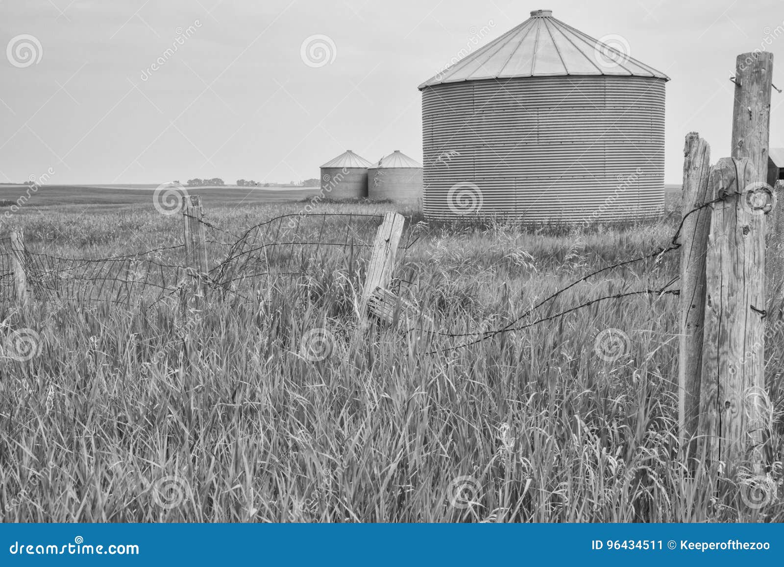 Monochrome Grain Silo Landscape Stock Image - Image of landscape ...