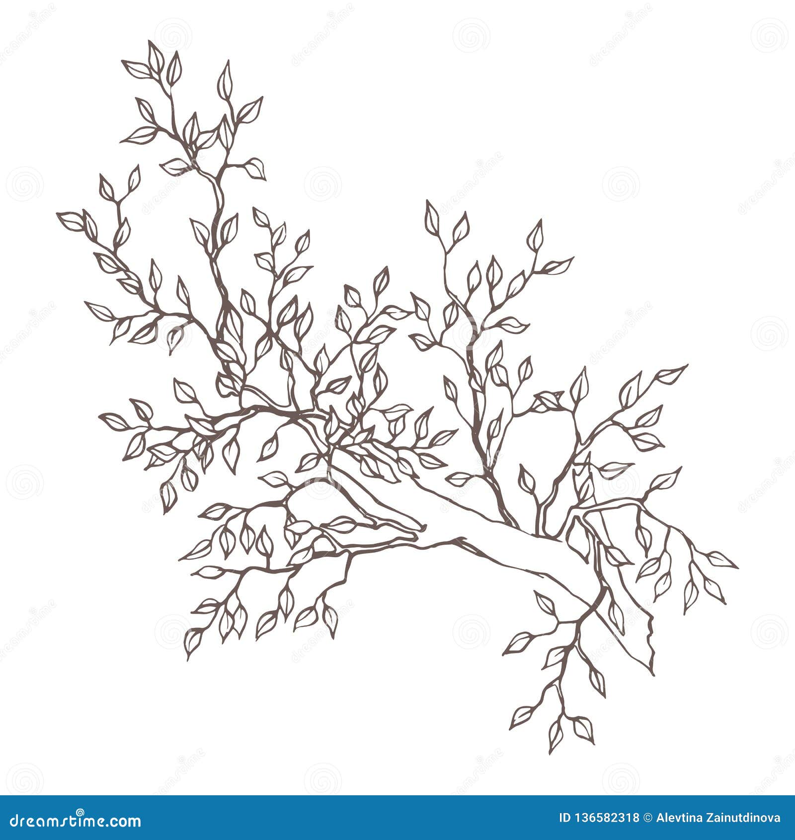 Monochrome Graphic Vector Tree Branch Isolated Stock Vector ...