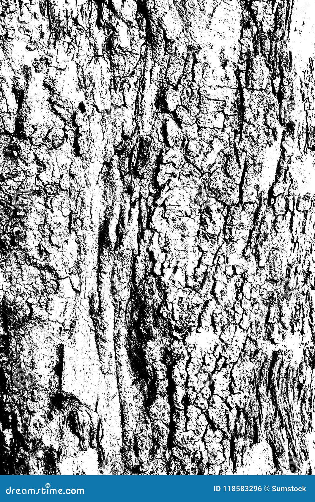 Monochrome Grunge Tree Bark Texture Stock Photo - Image of bark, grunge ...