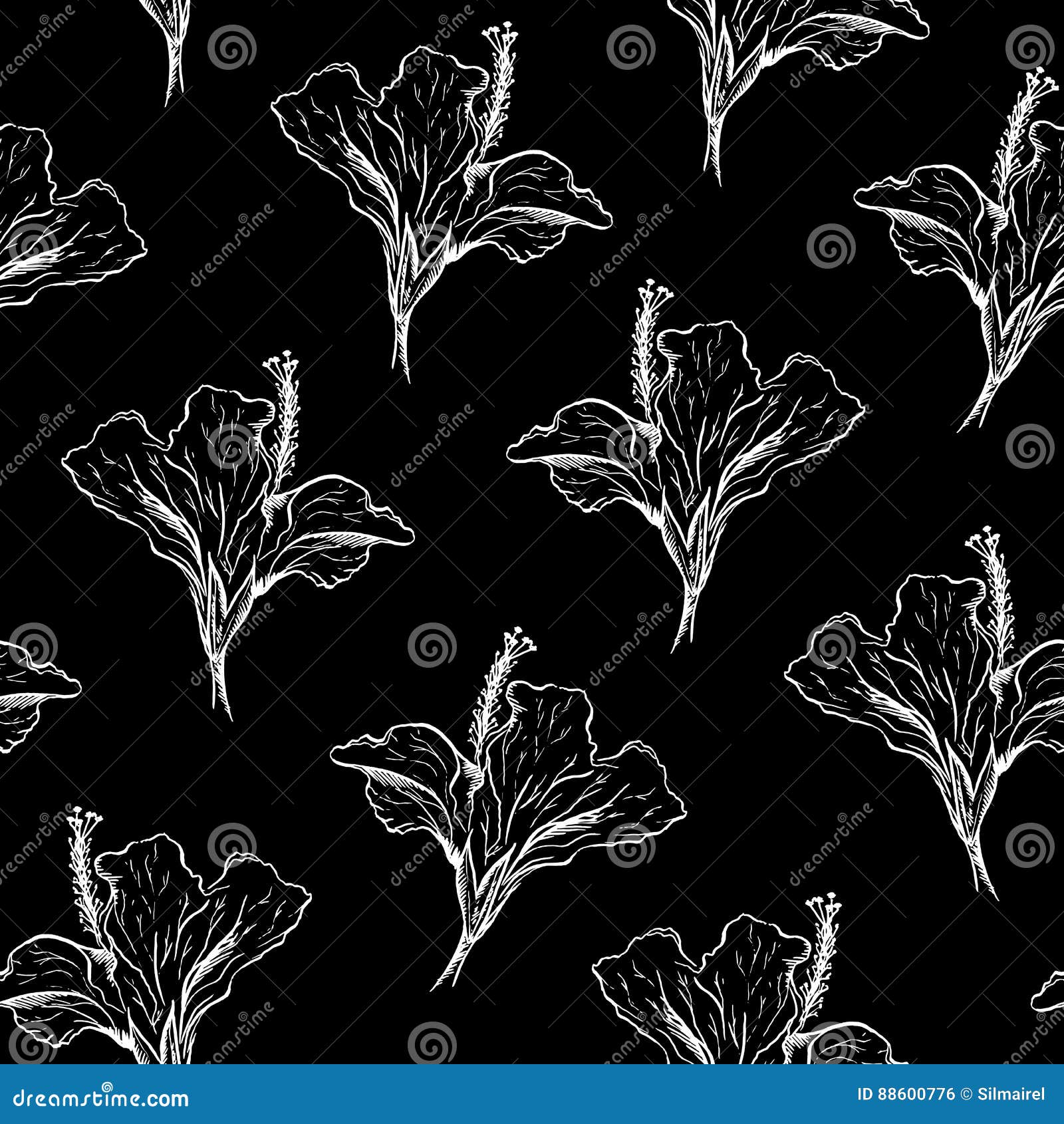 Monochrome Hibiscus Flower Plant Line Art Vector | CartoonDealer.com ...