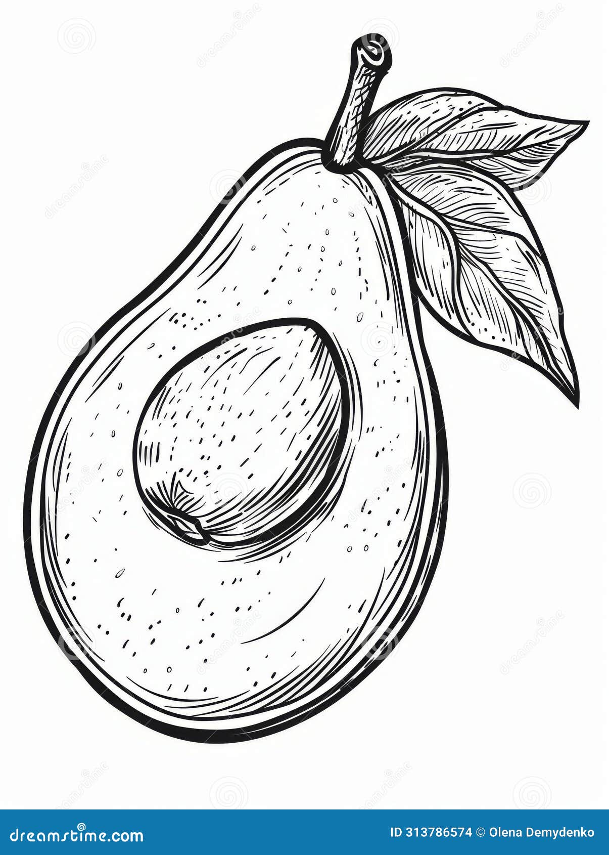 Monochrome Illustration of an Avocado Half with a Seed and a Leaf Stock ...