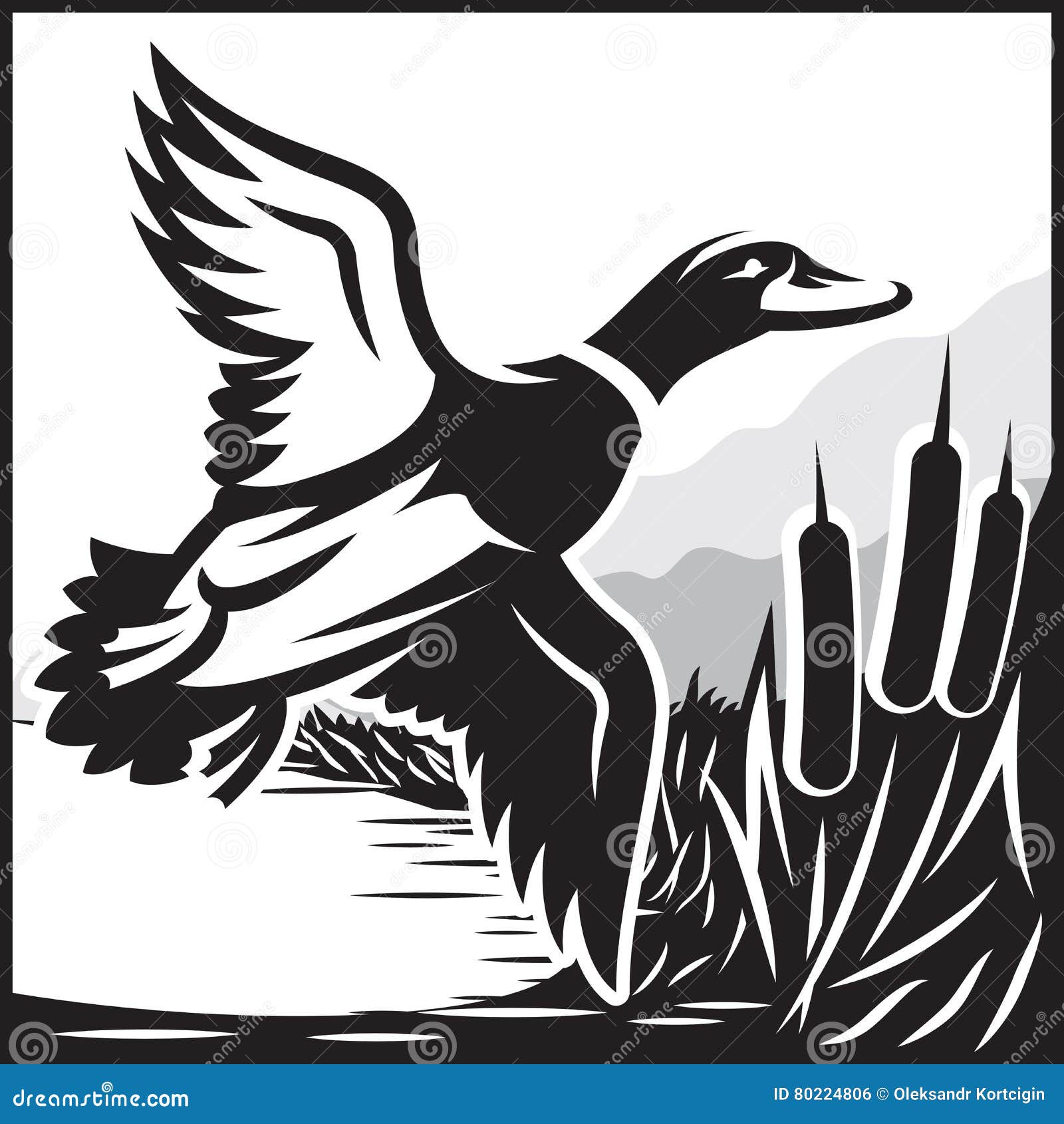 Monochrome Illustration with Flying Wild Duck Over the Water Stock ... Monochrome Illustration with Flying Wild Duck Over the Water Stock ...
