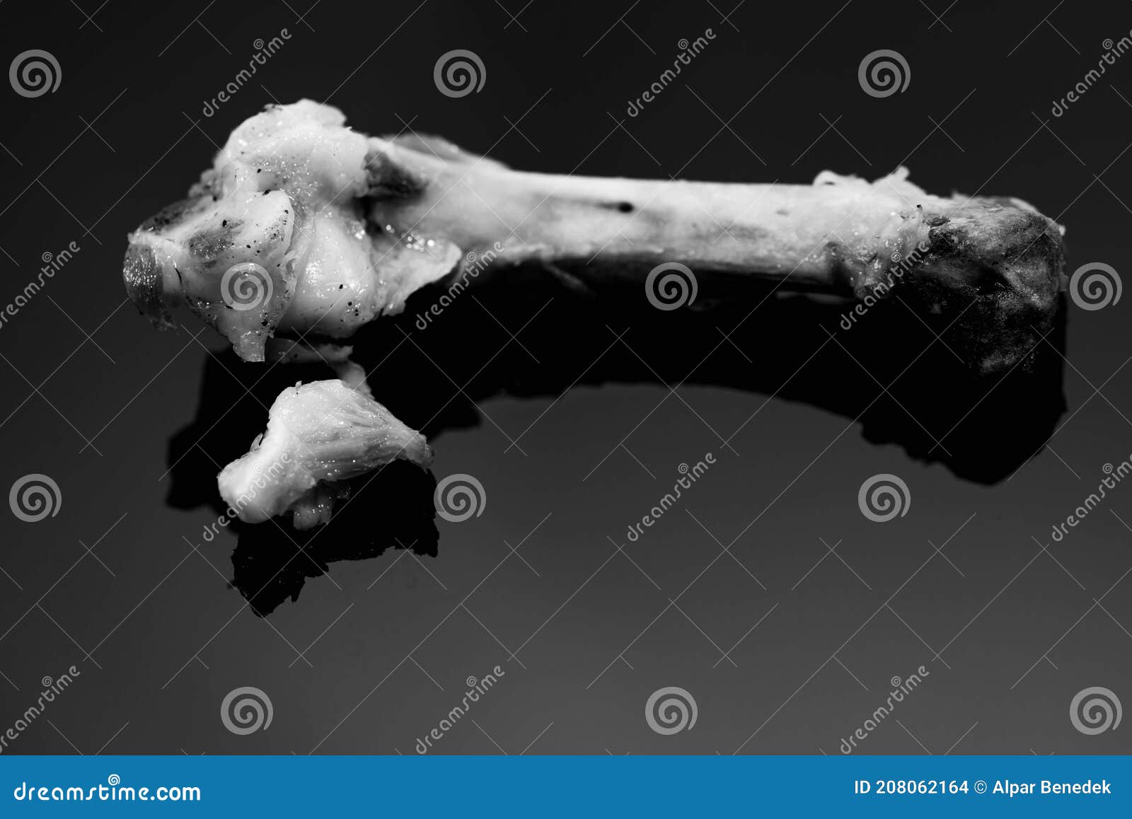 Monochrome Image, Deep Fried Chicken Bone on Shiny Dark Surface Stock ...