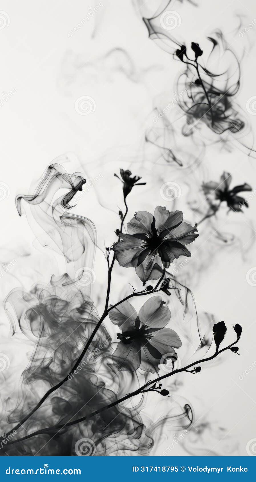Monochrome Image of Ethereal Flowers with Smoke-like Effects Stock ...