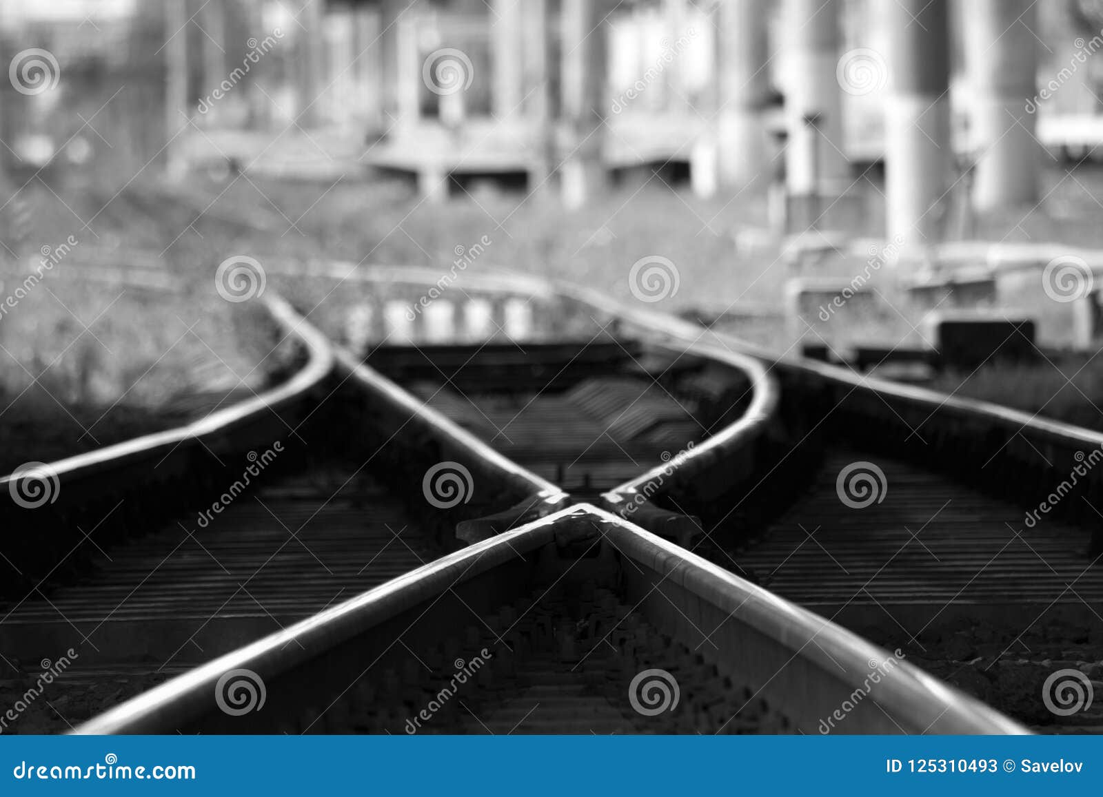 Monochrome Intersecting Railroad Tracks Stock Image - Image of railway ...