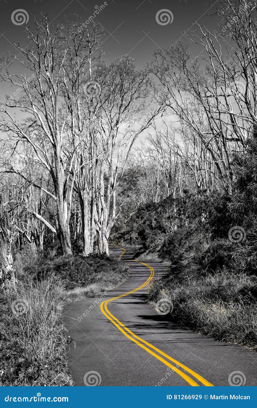 Monochrome Landscape View of Curvy Road in Selective Color Stock Image ...