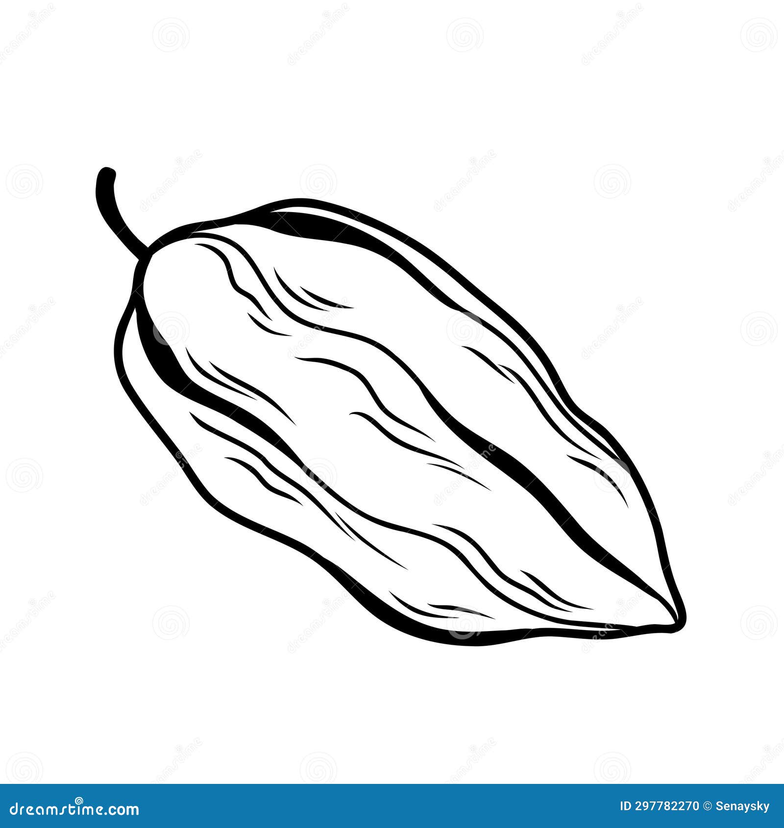 Monochrome Line Art Whole Cocoa Pod Vector Illustration Stock ...