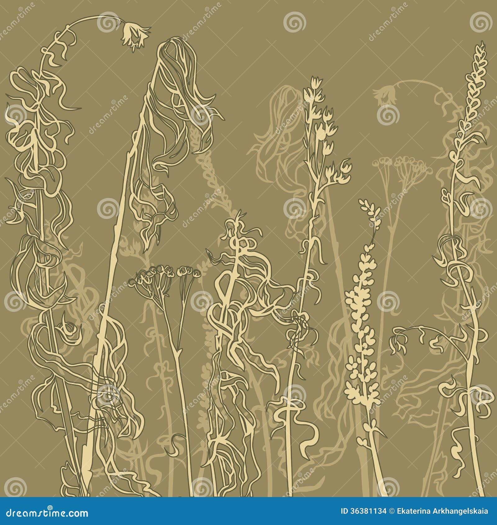 Monochrome Line Drawing Herbs Stock Vector - Illustration of handdrawn ...