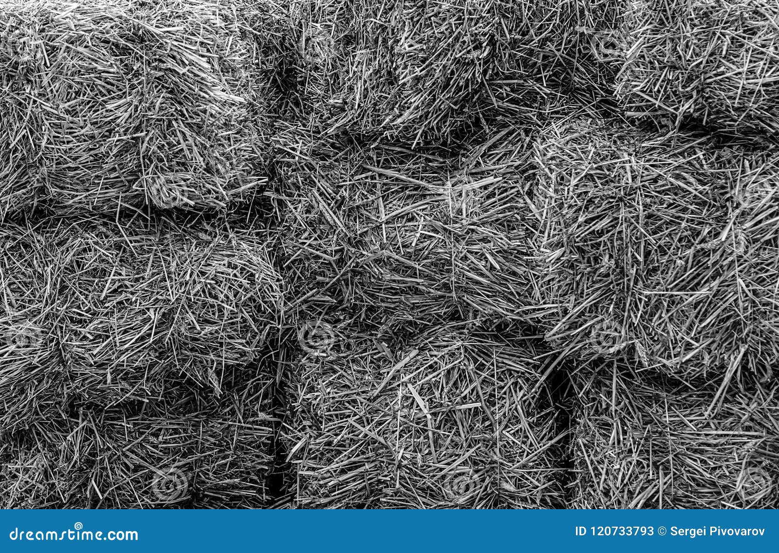 Monochrome Pattern Rustic Background Gray Blocks Hay Dry Grass Light ...