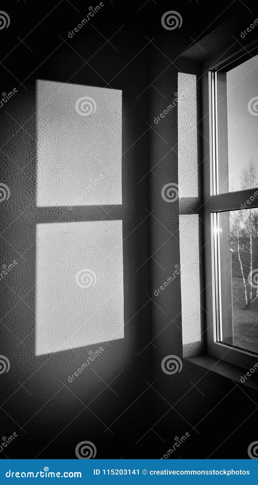 Monochrome Photography Of Window Picture. Image: 115203141