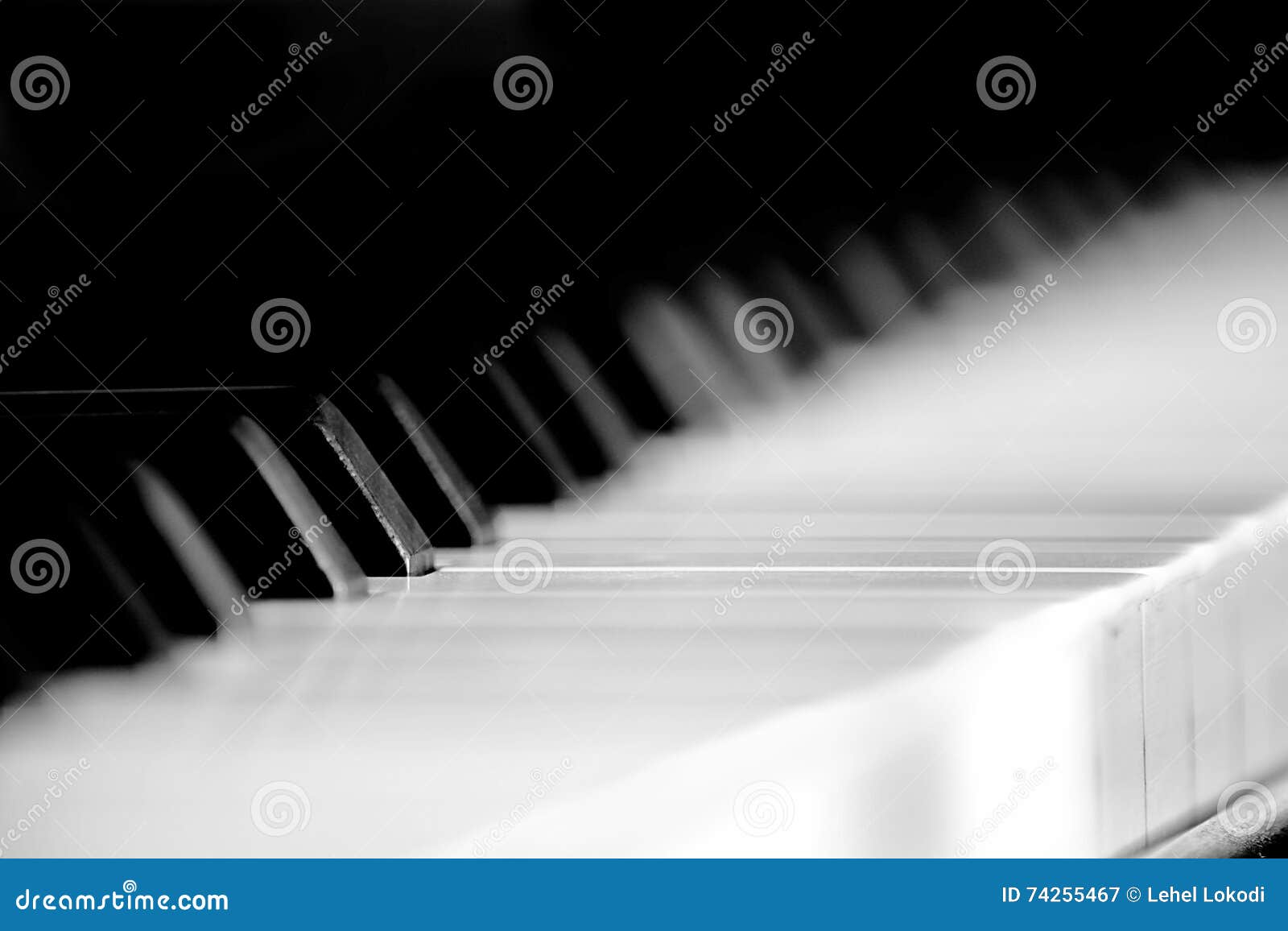 Monochrome piano keyboard stock image. Image of black - 74255467