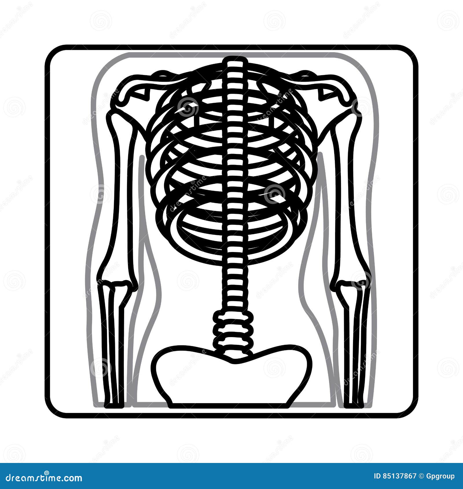 Tibia. Silhouette. Vector Illustration. An Integral Part Of The ...