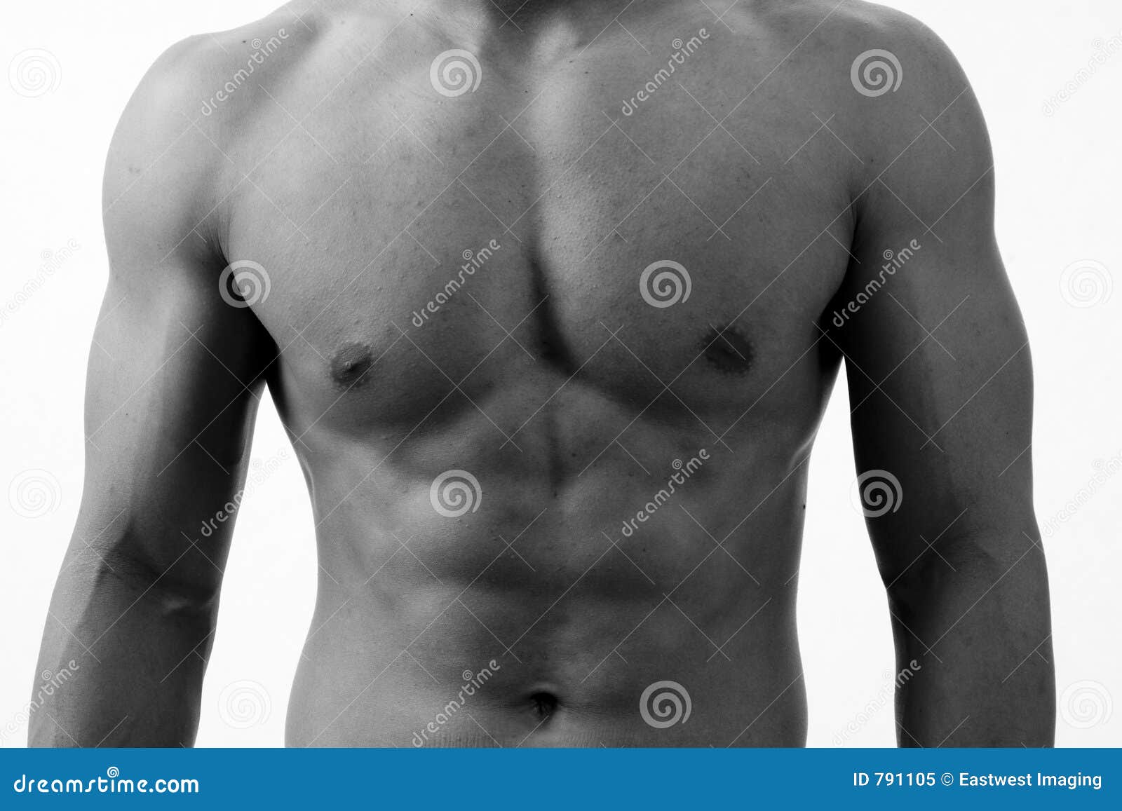 Monochrome Torso stock image. Image of deltoids, muscles - 791105