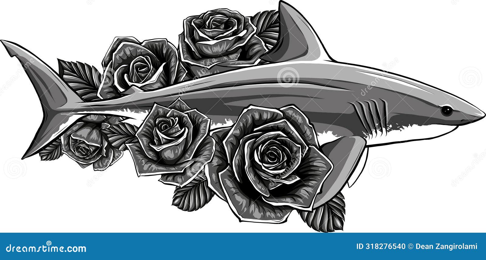 Monochrome White Shark with Rose on White Background Stock Illustration ...