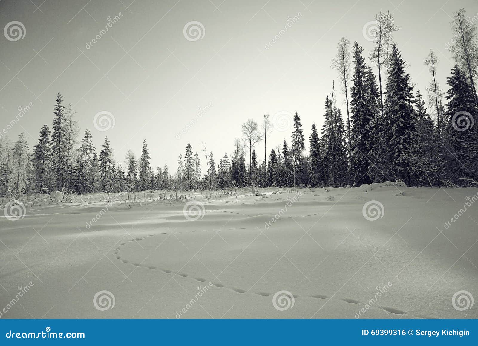 Monochrome Winter Landscape Stock Photo - Image of boredom, nature ...