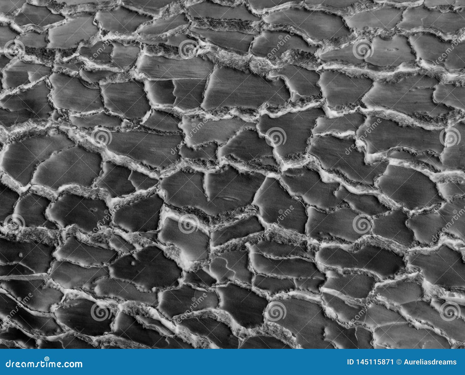 Monochrome Wood Texture For Background Royalty-Free Stock Photo ...