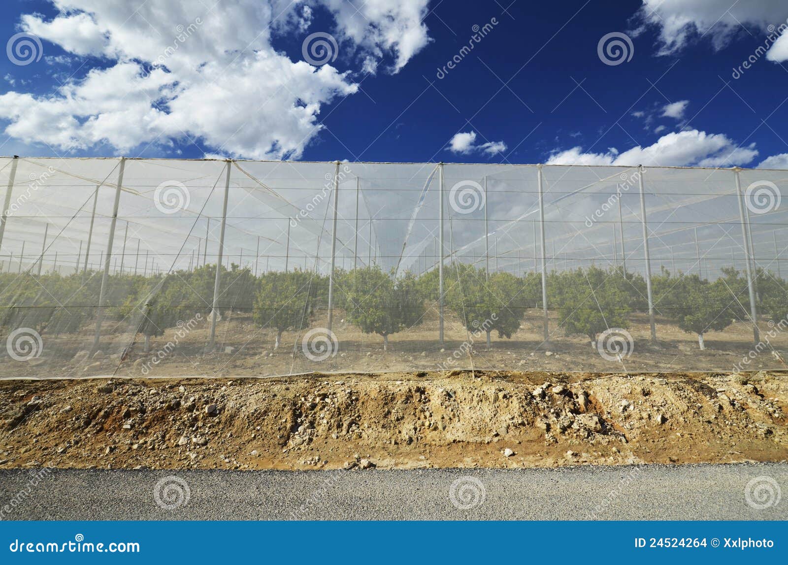 Monocropping Stock Photos - Free & Royalty-Free Stock Photos from ...