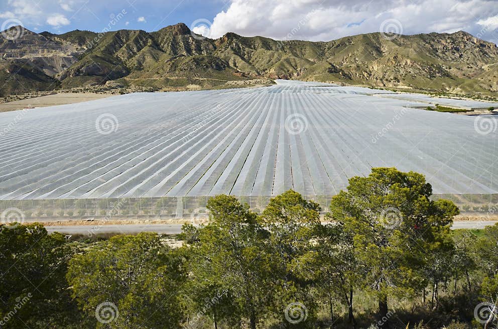 Monocropping stock photo. Image of hause, encase, monoculture - 24524294