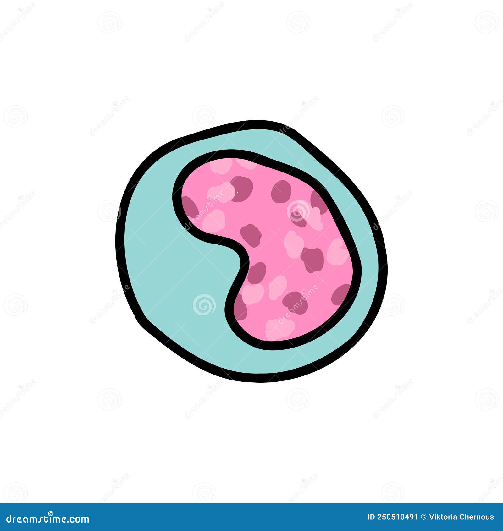 Monocyte Doodle Icon, Vector Color Line Illustration Stock Vector ...