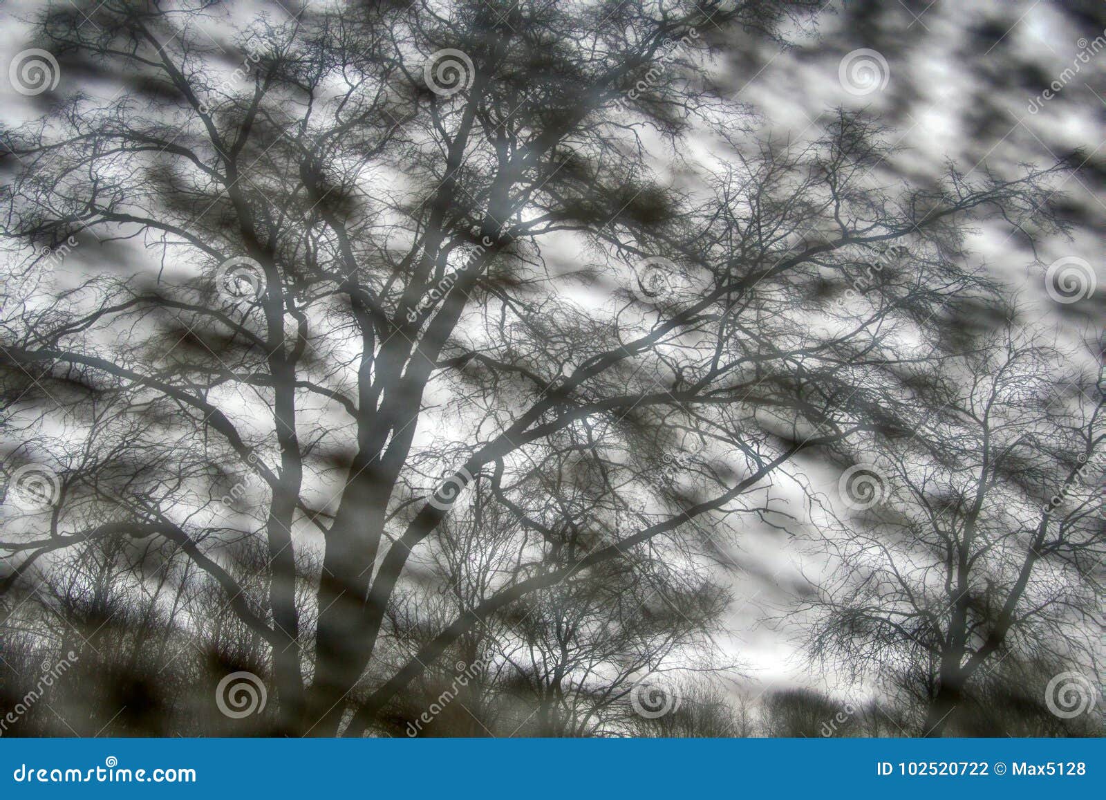 Monotone Uniformly Distributed Fuzzy Spots and Bare Clear Trees Stock ...