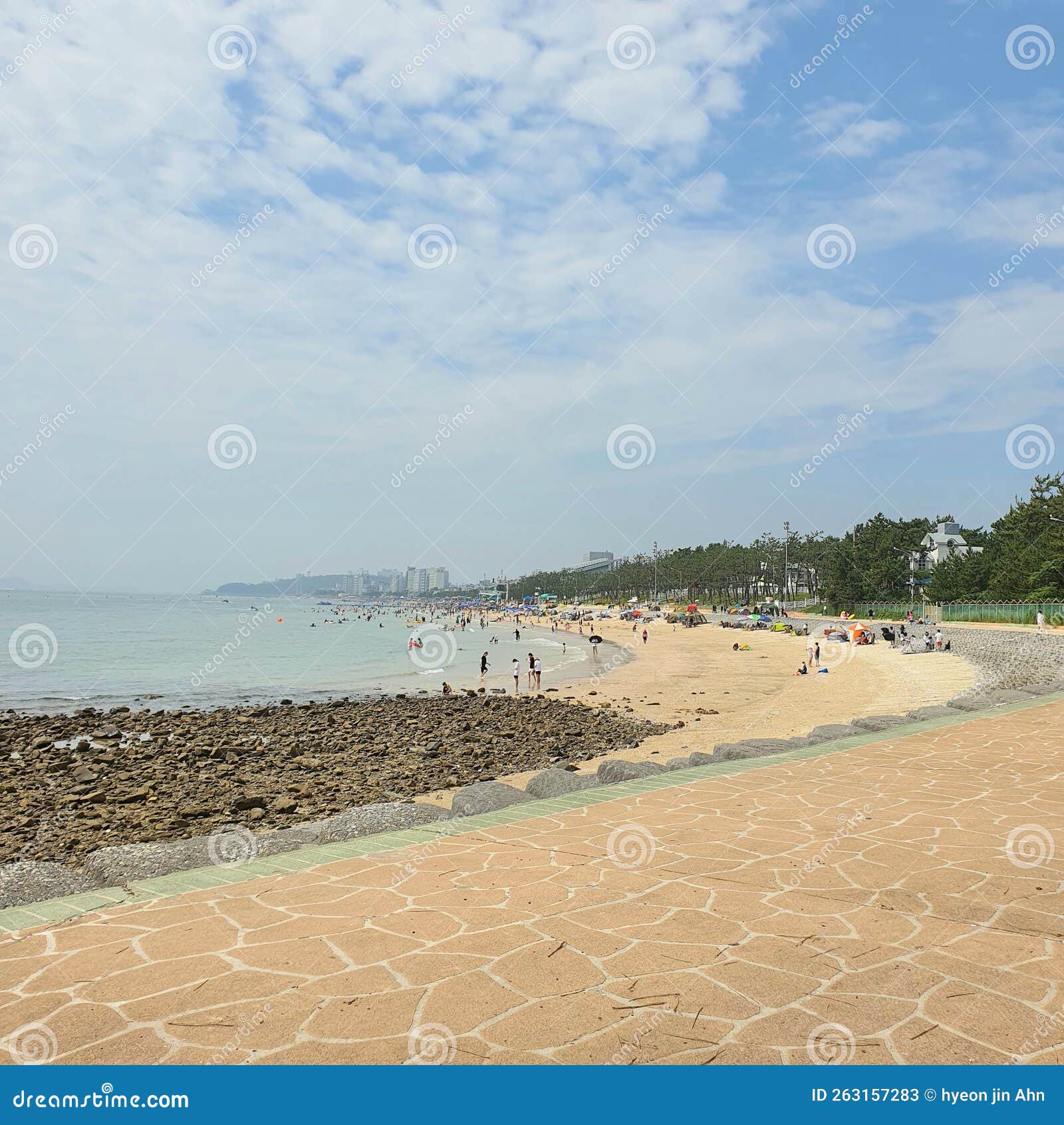 A monotonous beach stock image. Image of mudflat, cape - 263157283