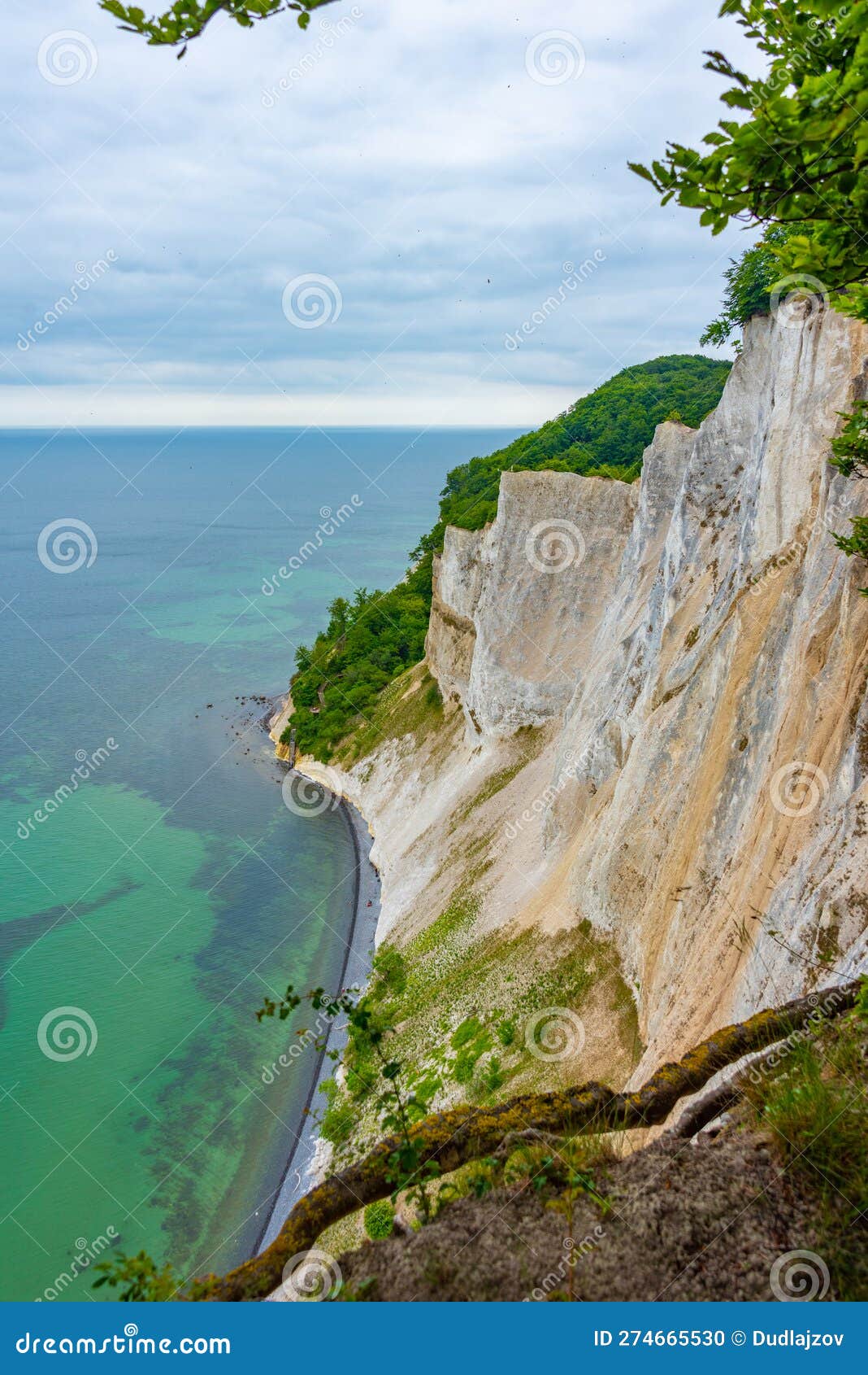 Mons Klint White Cliffs in Denmark Stock Photo - Image of tourist ...